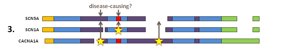 Paralogue Annotation for Inherited Arrhythmias